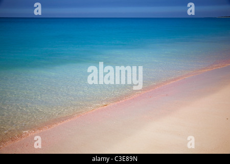 Pink sand beach on Barbuda island in Caribbean made of tiny pink shells ...