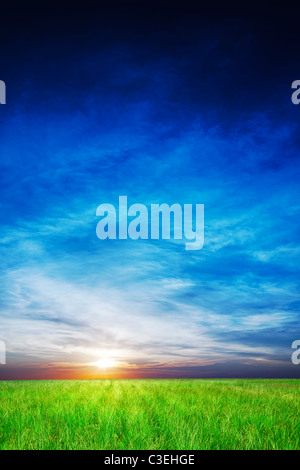 Field at sunset, sunset on meadow. Grass in the sunlight background ...