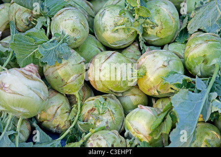 Vegetable, turnip or alkol, india Stock Photo - Alamy