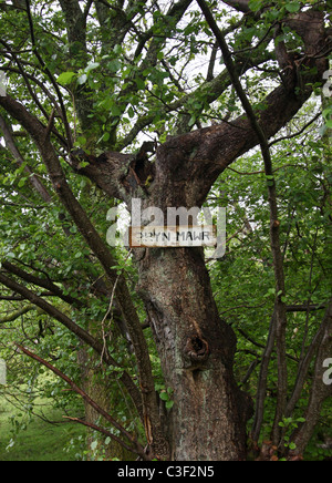 Bryn Mawr original home of Rowland Ellis, Quaker, who emigrated to ...