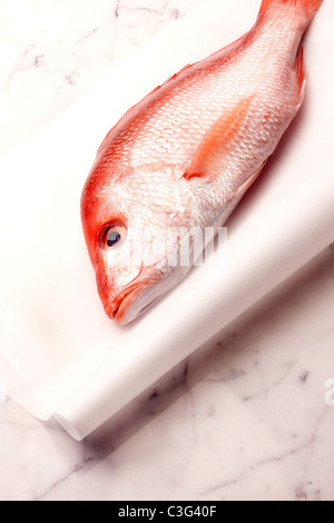 Fresh red snapper for sale at the Fish Market, Mutrah Souq, Muscat ...