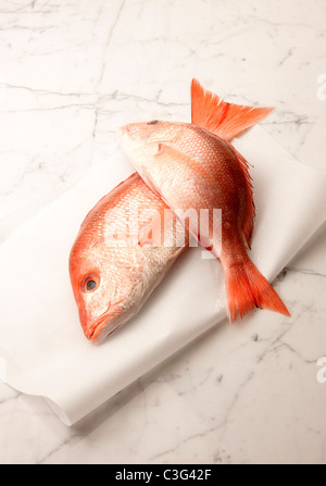 Fresh red snapper for sale at the Fish Market, Mutrah Souq, Muscat ...