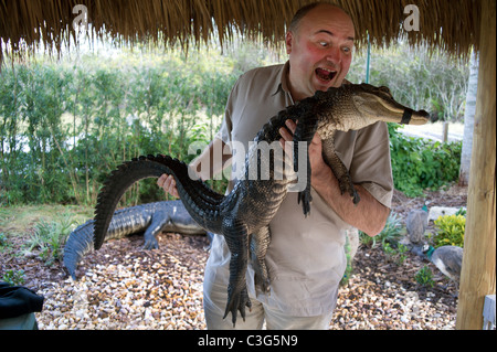 Man holding Young Crocodile or alligator in his hands in the zoo ...