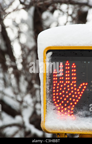 Dont Walk red hand sign at a pedestrian crossing, New York, USA Stock ...