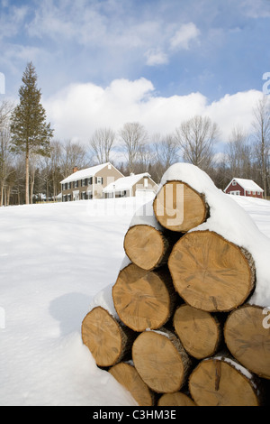 Stack of timber in winter scenery Stock Photo - Alamy