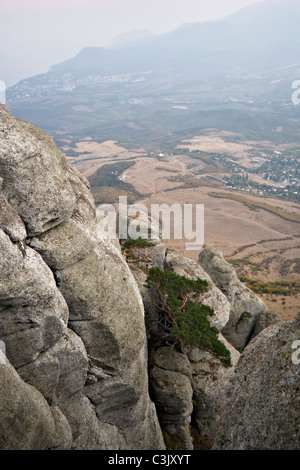 Rocky columns in Crimea mountains. Wild rock landscape. Demerdgi ...