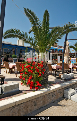 The marina area of the old harbour at Lakki the small town in the ...