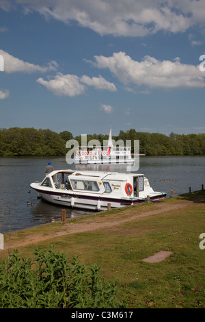 Birds and boats, Salhouse broad, Norfolk Broads, East Anglia UK Stock ...