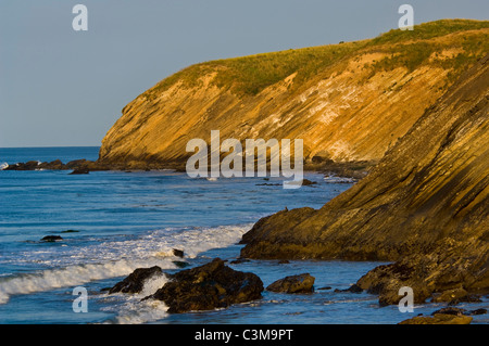Striated cliffs of sedimentary rock showing uplift, on the coast at ...
