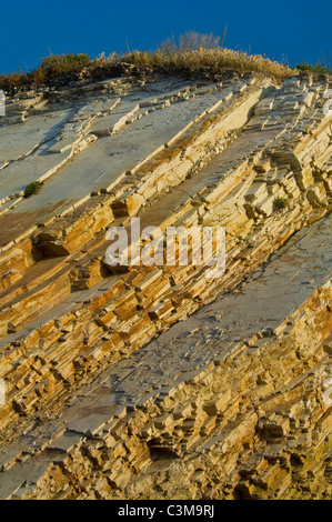 Striated cliffs of sedimentary rock showing uplift, on the coast at ...