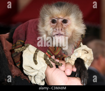 MONKEY PIRATES OF THE CARIBBEAN: ON STRANGER TIDES. WORLD PREMIERE ...