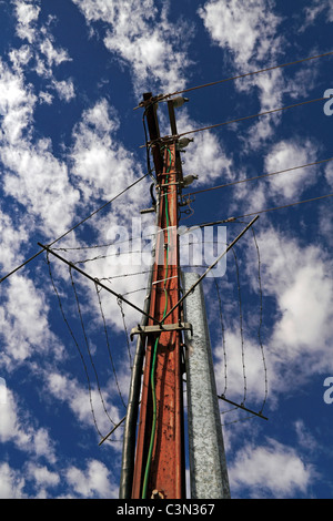 power lines for australian power pole electricity grid against cloudy ...