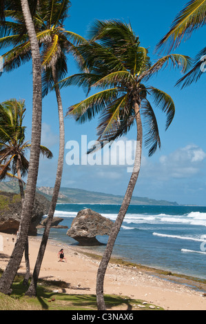 Bathsheba Beach Barbados, Caribbean Stock Photo - Alamy