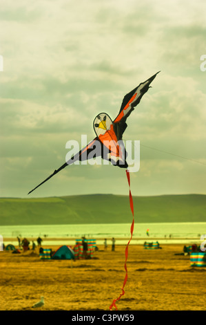 Kite seen flying in summer 2021 Stock Photo - Alamy