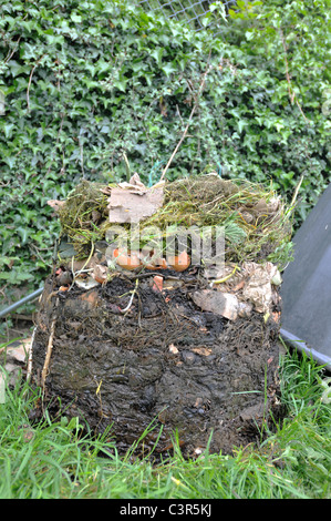 A compost bin removed to show the layers of decomposing material Stock ...