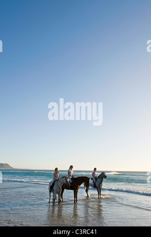 Three people riding horses in traditional clothes, Tradition, Puszta ...