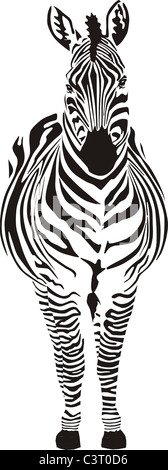 Zebra - black and zero Stock Photo - Alamy