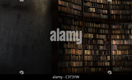 Old Big Library with many shelfs. Huge library Stock Photo - Alamy