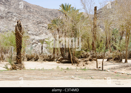 Irrigation system - Wadi Feiran Oasis, Sinai Peninsula - Egypt Stock ...