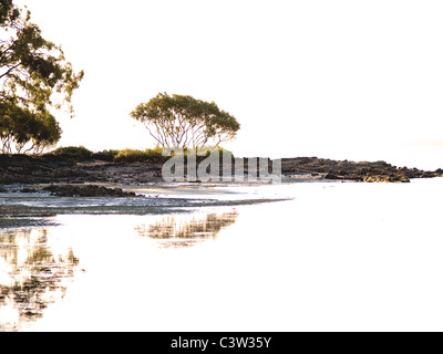 Port Stephens, NSW, Australia Stock Photo - Alamy