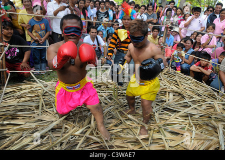 funny blindfold dwarf boxing, Bangkok, Thailand Stock Photo - Alamy
