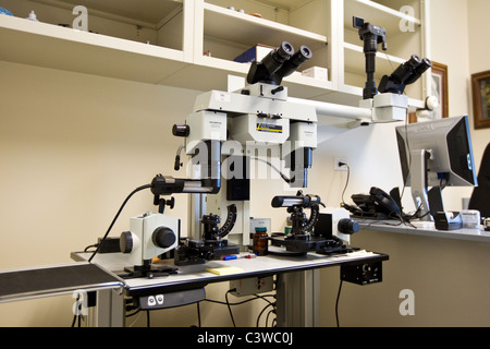 Criminal investigation department, police, forensic scientist secures a ...