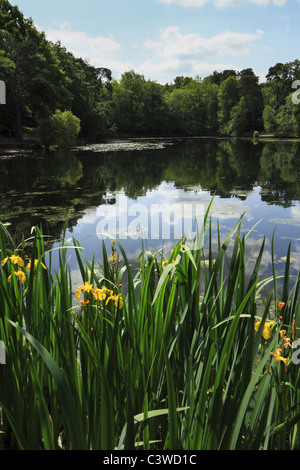 Keston Ponds, Bromley, Kent, UK Stock Photo - Alamy