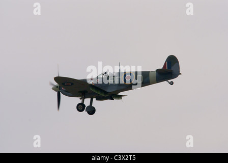 Side view of a Supermarine Spitfire with the RAF roundel on the ...