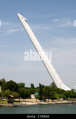 The Alamillo Bridge by Santiago Calatrava in Seville, Spain Stock Photo ...