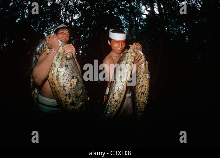 Men hold a thick-bodied, 18-foot long anaconda that were killed by the ...