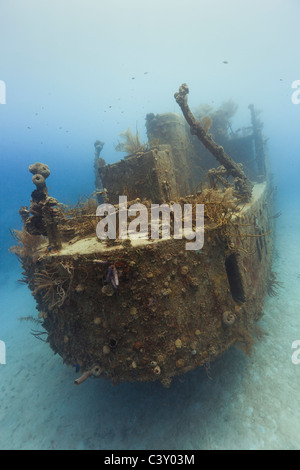 Wreck of the Prince Albert in Roatan was a passenger vessel for years ...