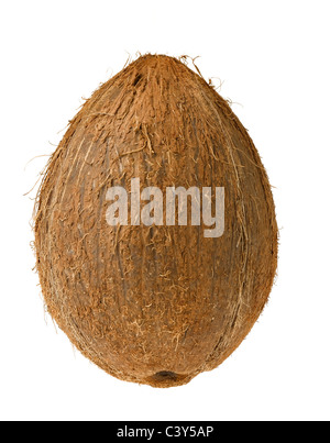 coconut coconut coconuts fruit cut pieces fresh fruits cut-out isolated ...