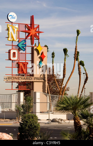 Colorful neon lights illuminate the palm trees in front of a night club ...