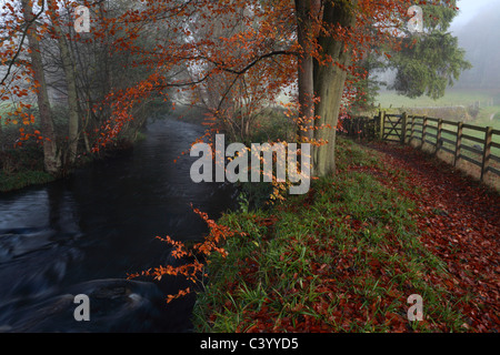 Misty autumn morning walking along the River Washburn near ...