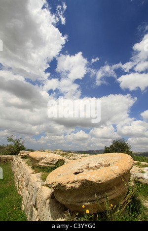 Samaria, Sebastia, the Temple of Augustus in the Roman city Sebaste ...