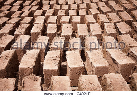 clay adobe blocks freshy made in Ecuador Stock Photo - Alamy