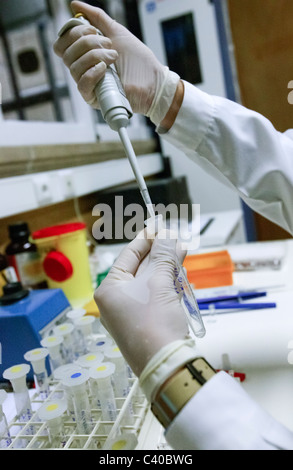 Detail with researcher hands working with medical dropper and tubes in ...