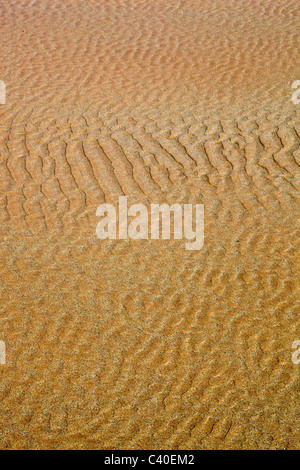 Detail, low, ebb, tide, form, shape, ribs, bodies of water, tides ...