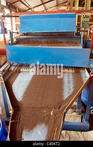 Interior Dilma tea factory Hatton Central Highlands Sri Lanka Stock ...