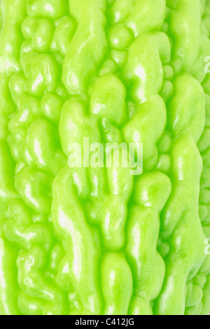 Fresh and Healthy Raw Bitter melon Stock on tree in farm for harvest ...