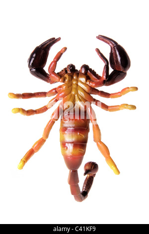 Plastic toy scorpion Stock Photo - Alamy