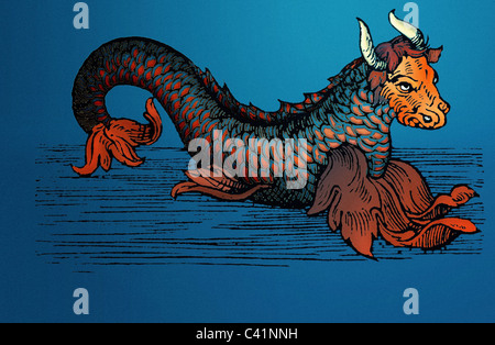 zoology, mythical creature, sea monster eating people, woodcut from ...