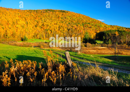 Peak fall foliage in Vermont against a dramatic sky Stock Photo - Alamy