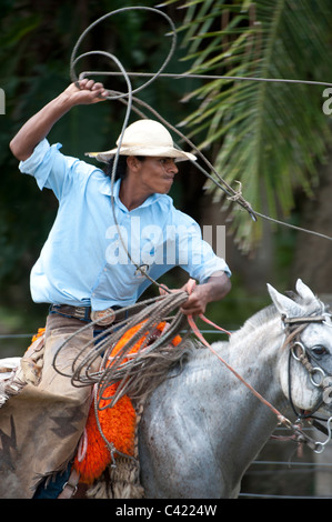 Pantaneiro cowboy on horse with cow horn, The Pantanal, Mato Grosso ...