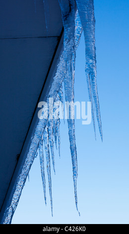 Translucent blue icicles in a frozen ice wall Stock Photo - Alamy