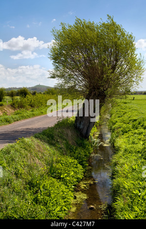 Country road with Glastonbury tor in the distance, Somerset, UK Stock ...