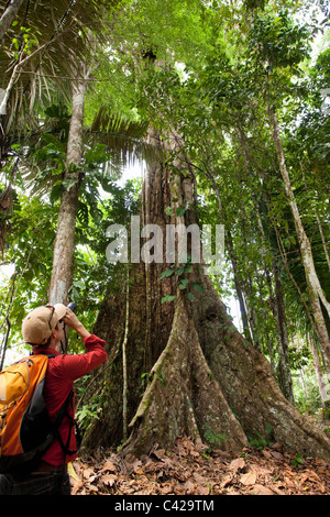 woman hiker looking at wildlife Stock Photo - Alamy