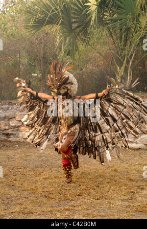 Feathered owl dancer performing at the Sacred Mayan Journey 2011 event ...