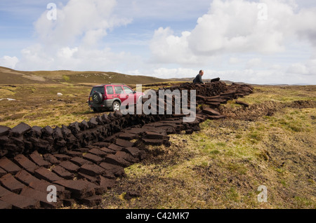 Man cutting peat blocks for traditional free fuel on the Shetland Isles ...