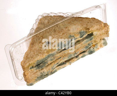 Old rotten, putrid sandwich Stock Photo - Alamy